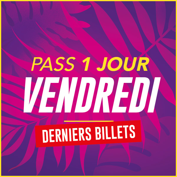 Solidays 2023 Billetterie Officielle : Pass, places et billets