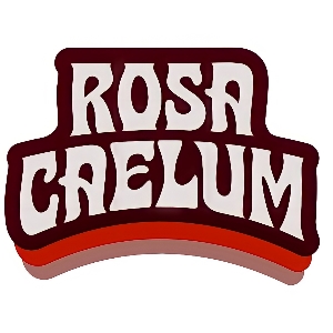 See Tickets - ROSA CAELUM, HEY ALAMO & RING O ROSES Tickets and Dates