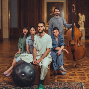 MANU DELAGO & MAD ABOUT LEMON Tickets and Dates 2024