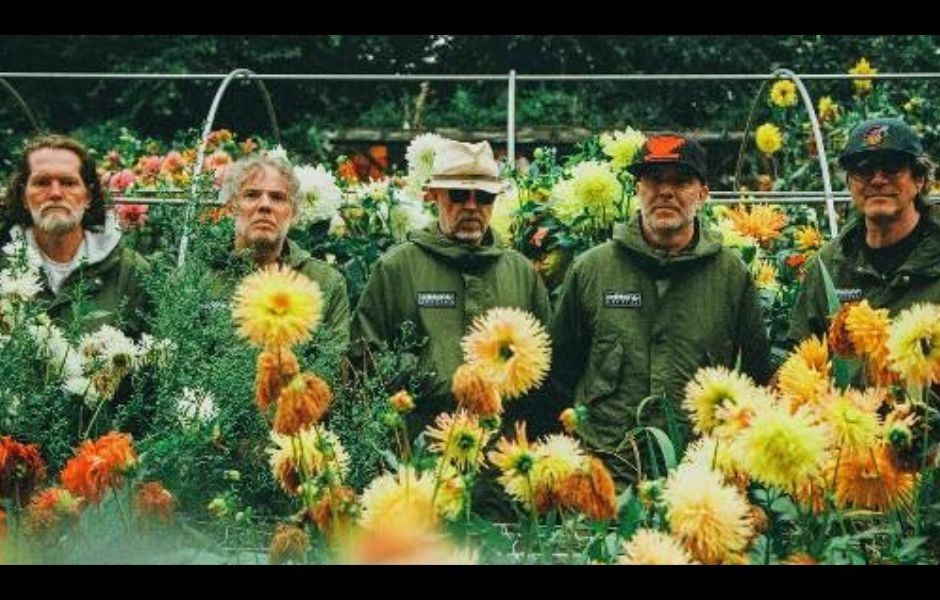Super Furry Animals Announce Alexandra Palace Park Show, With Very ...