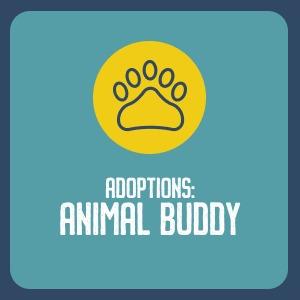 Beale Park - Beale Wildlife Park - Adoptions Animal Buddy Tickets