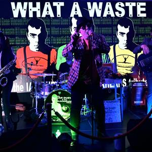 See Tickets - What A Waste - The Ian Dury & The Blockheads Show Tickets ...