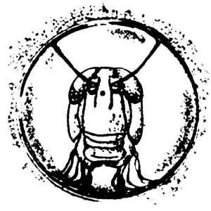 See Tickets - Yes Grasshopper Tickets and Dates