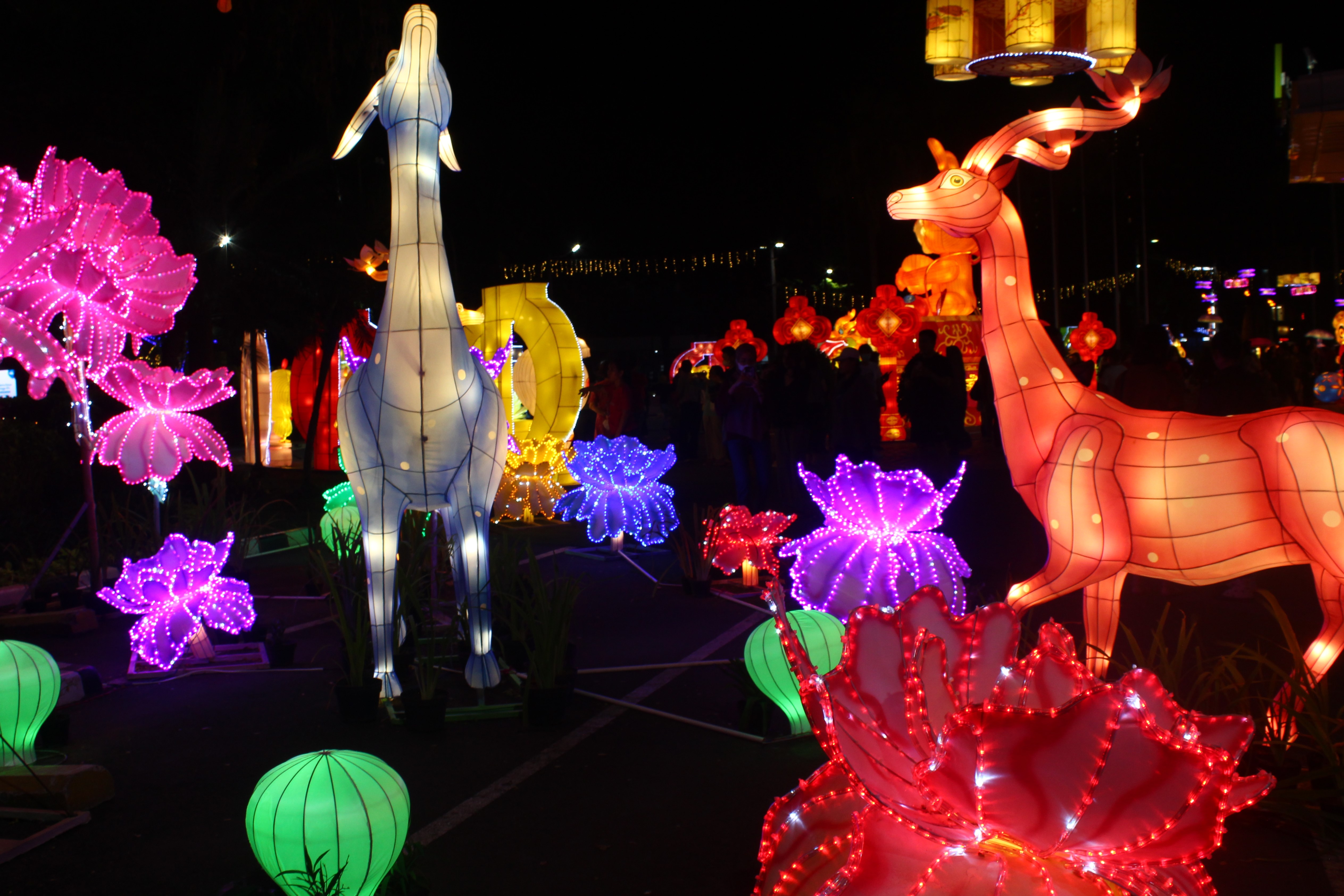 See Tickets - AGLOW at Auckland Castle Tickets and Dates