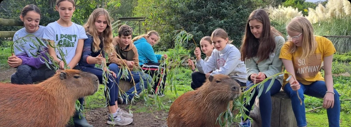 Beale Park - Beale Wildlife Park - Animal Experiences